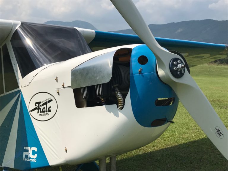 Piper Cub Clipped Wing 50% – Jeti-team